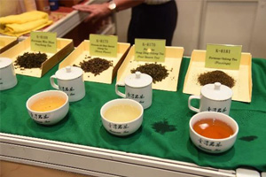 HKTDC Hong Kong International Tea Fair